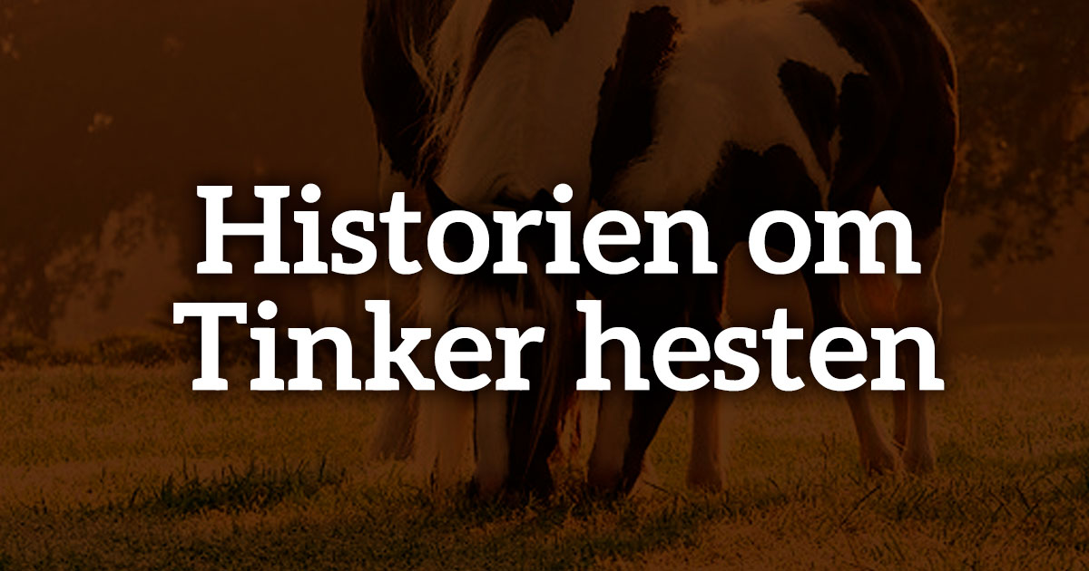Tinker hesten - Historien om den eventyrlige hest